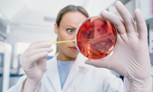 Антитела к хламидиям в крови: типы, расшифровка